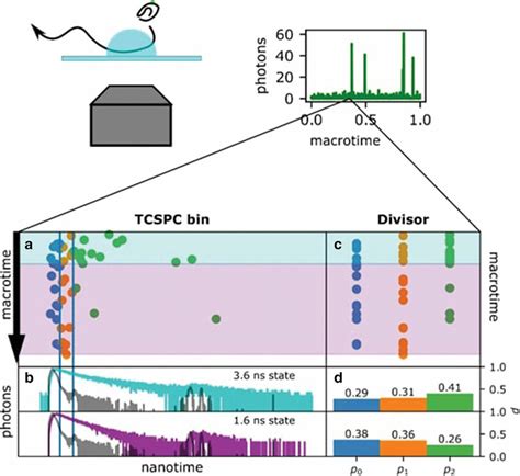 the divisor based approach to analyzing within burst fluorescence