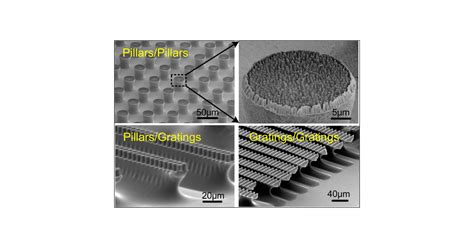 Generation Of Hierarchically Ordered Structures On A Polymer Film By Electrohydrodynamic