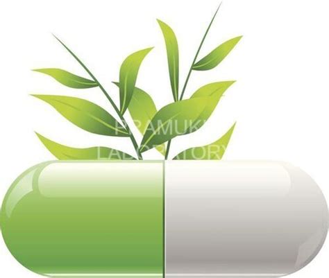 Pharmaceutical Analysis Services At 19900 Inr In Ahmedabad Gujarat