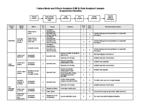 Fmea Risk Analysis Example1 Pdf Sterilization Microbiology