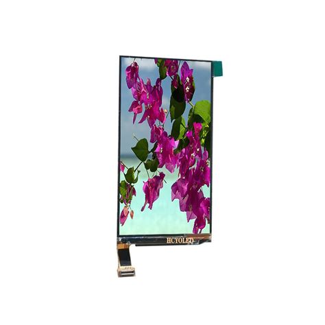 High Resolution 3 9 Inch Color Am OLED Display For Medical And Handheld OLED Display And OLED