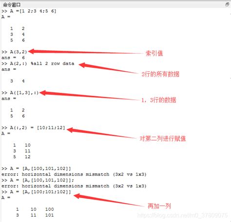 Octave的安装与使用 Csdn博客