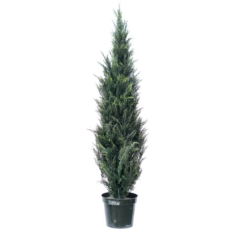 Cypress Tree Silk Plant Decor And More