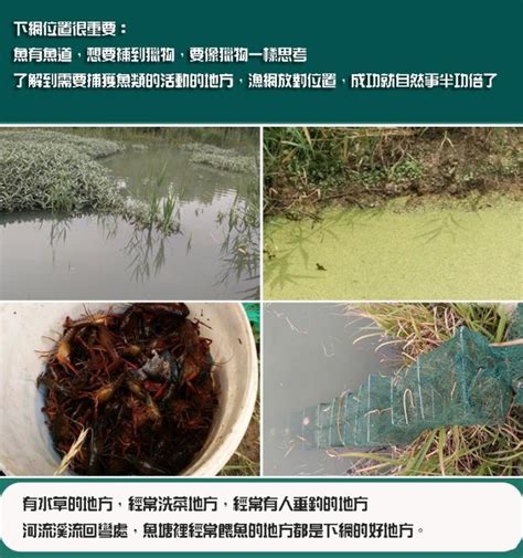 金輝加固型 10米 長城網 蜈蚣網 地籠 折疊漁網 蛇籠 陷阱 蝦 蟹 溪魚 休閒 Yahoo奇摩拍賣