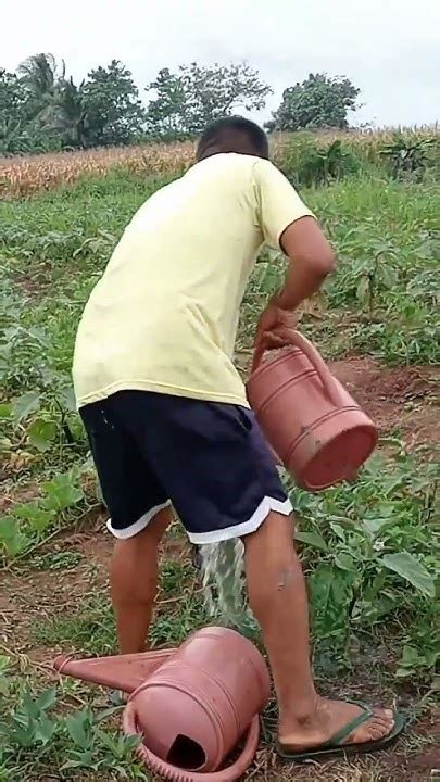 Mano Mano Dilig Youtube