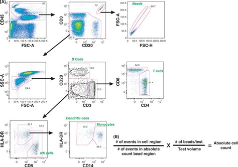 Absolute Lymphocyte Determination By A Whole Blood Bead Based Flow