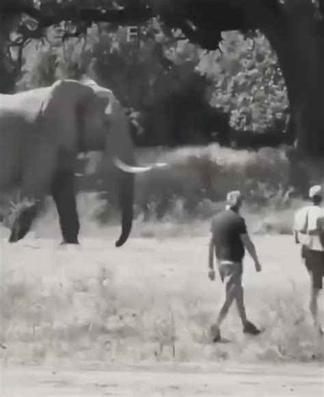 Isabelle P On Linkedin No Need For Word The Image Speaks For Itself Thank You For Sharing