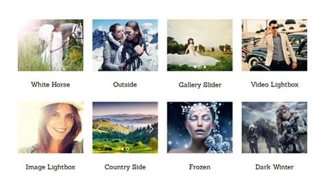 Parallax Wordpress Theme