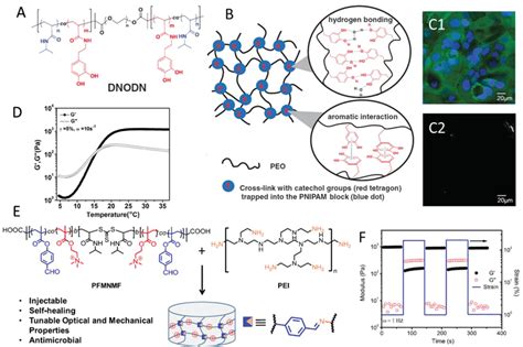 A Chemical Structure Of The Aba Tri‐block Copolymer Dnodn B Proposed Download Scientific