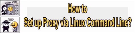 How To Set Up Proxy On Ubuntudebian Via Command Line Veeble Hosting