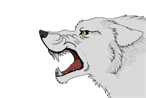 Unfinished Snarling Wolf By ShortyTheDireWolf On DeviantArt