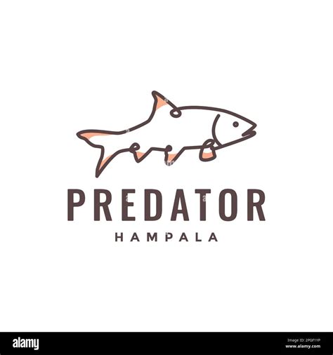 River Predator Fish Hampala Line Art Colorful Logo Design Vector Stock