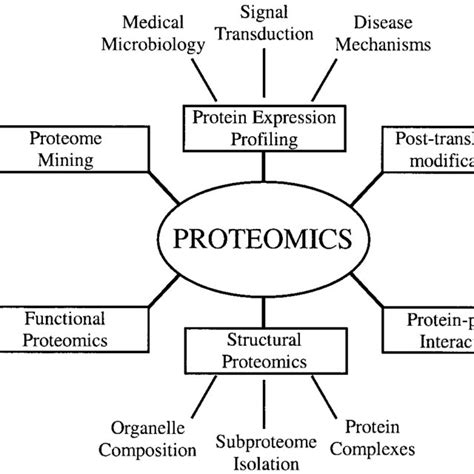 Types Of Proteomics And Their Applications To Biology Download Scientific Diagram