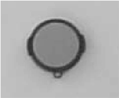 A Image 4 B Histogram With Detected Peaks And Valleys C Download Scientific Diagram