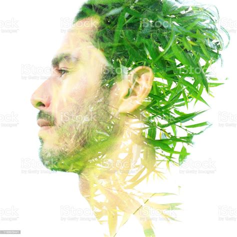 자연의 창조의 완벽 한 아름다움을 보여주는 밝은 녹색 잎과 혼합 젊은 잘생긴 남자의 초상화의 이중 노출 다중 노출에 대한 스톡 사진 및 기타 이미지 Istock
