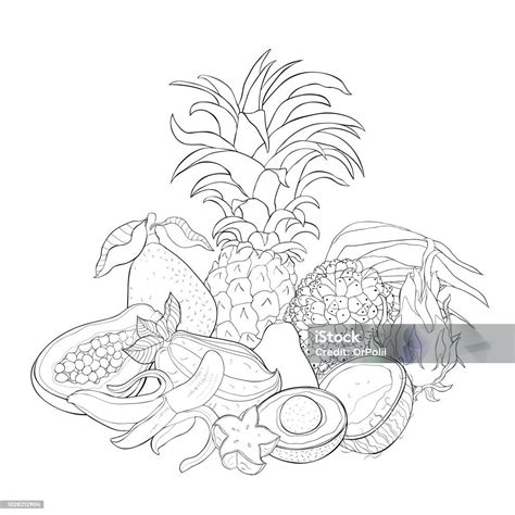 이국적인 과일 판단 바나나 아보카도 코코넛 파파야 파인애플 Pitahaya 스타 Carambola 벡터 일러스트 레이 션 0명에 대한 스톡 벡터 아트 및 기타 이미지