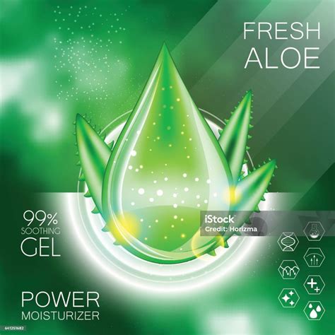 알로에 베라 젤 오일 세럼 에센스 3d 물방울 0명에 대한 스톡 벡터 아트 및 기타 이미지 0명 Coq10 벡터 Istock