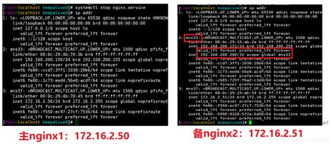 Linux搭建nginxkeepalived 高可用主备双主模式nginxkeepalived需要几台机器 Csdn博客