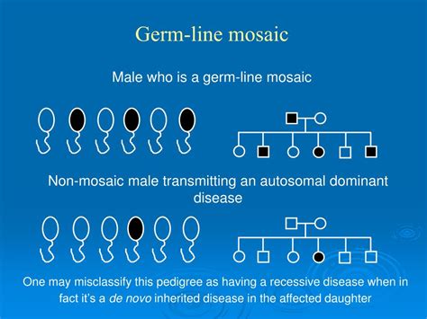Ppt Patterns Of Single Gene Inheritance Cont Powerpoint Presentation