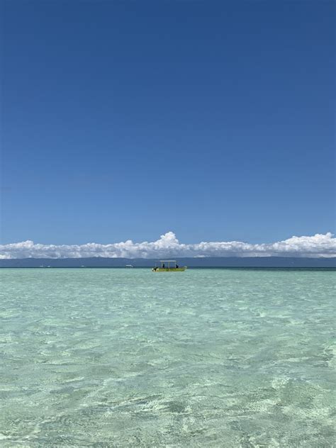 세부 자유여행 패키지없이 간 보홀여행과 오슬롭캐녀닝투어 경비기록 D 네이버 블로그