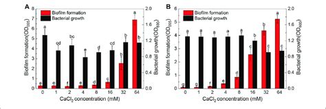 Biofilm Formation And Bacterial Growth Of Pseudomonas Sp Zx01 A Download Scientific