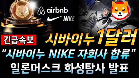 시바이누 코인 시바이누코인 Nike Airbnb와의 결제 시스템 협업과 애플 합류그리고 일론머스크와의 급등신호