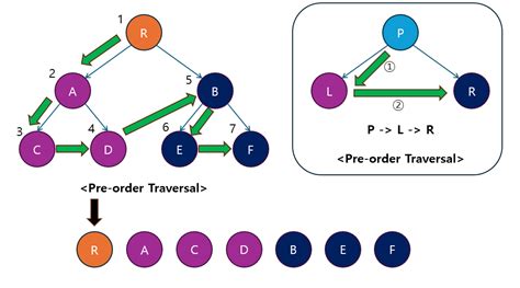 자료구조 Tree Binary Tree 이진 트리 개념과 구현