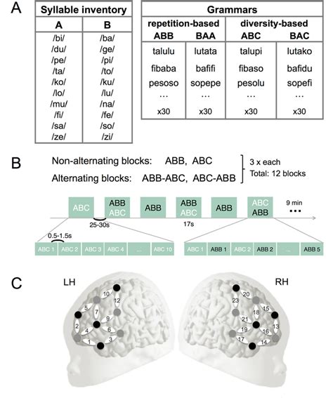 Figure 1 From Six Month Old Infants Perception Of Structural