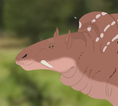 Female Kiba Headshot By Firekitsune99 On Deviantart
