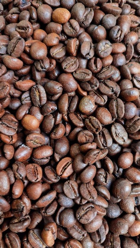 커피 콩의 얕은 초점 사진 · 무료 스톡 사진