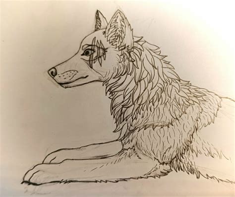 Волк Оцените пожалуйста качество шерсти Идеи для рисования ВКонтакте