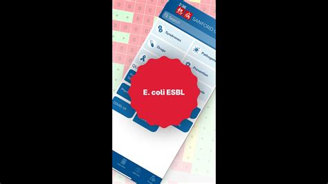 Is Ceftriaxone Effective For E Coli The Full Answer Here Wiki