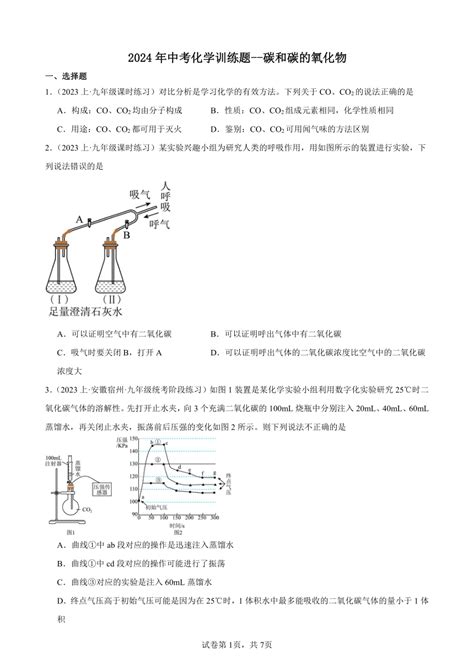 2024年中考化学训练题 碳和碳的氧化物（含答案） 21世纪教育网