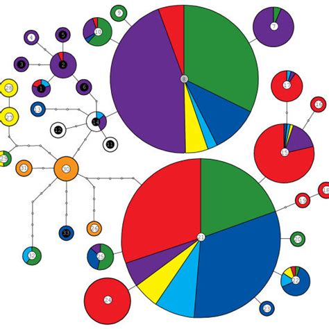Haplotype Network Based On The Combined Coi And Atp6 Data Sets Each