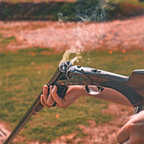 Cz Sharptail Problems Troubleshooting Tips And Solutions