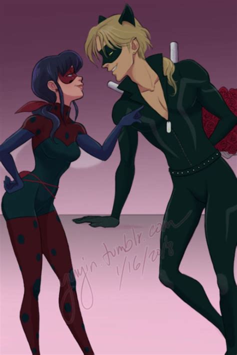 Pin By Rachel On Ladynoir Miraculous Ladybug Movie Miraculous