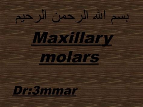 Maxillary Second Molar Pptx Dental Health Diseases And Conditions