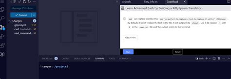Coderoad Build A Kitty Ipsum Translator Backend Development The