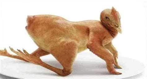 Makan Bagian Ayam Ini Secara BERLEBIHAN Sama Seperti Menelan Racun Ternyata Ini Loh Alasannya