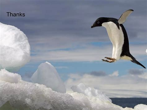 linux kernel memory model pdf operating systems computer software