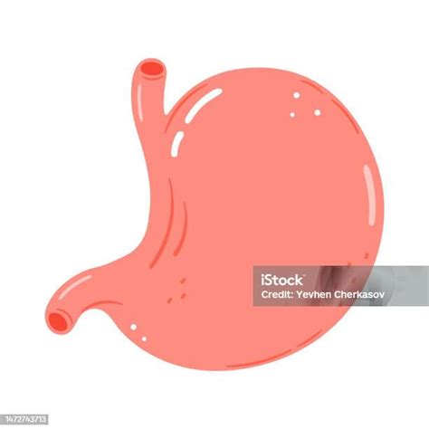 귀여운 재미있는 위장 벡터 손으로 그린 만화 Kawaii 캐릭터 그림 아이콘입니다 흰색 배경에 격리 위 캐릭터 개념 개념에 대한