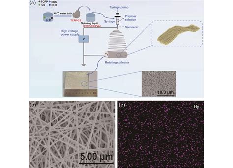 Schematic Of The Synthesis Of Tcpp Cs Sensor And Sem Electron