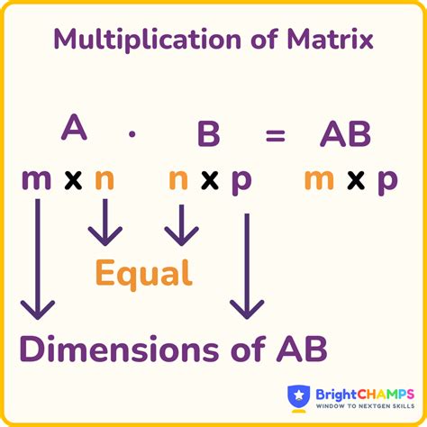 Matrix Multiplication Rules Methods And Examples