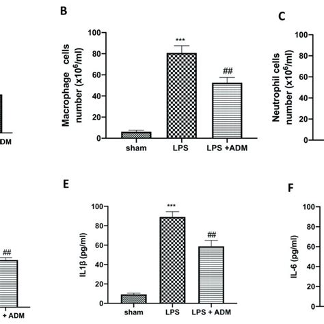 Cell Infiltration Expression In Balf Total Cell Number A