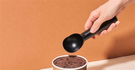 푸드앤푸드테크대상 당 줄이고 단백질 22g 담았어요” 프레시지 ‘프로틴 아이스 다크초콜릿