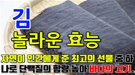 김의 놀라운 효능 8가지 And 부작용 건강한 선택 김 소화 개선과 면역력 강화에 도움이 되는 바다의 선물 Youtube