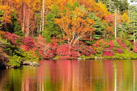 白駒の池 ピクスポット 絶景風景写真撮影スポット撮影ガイドカメラの使い方