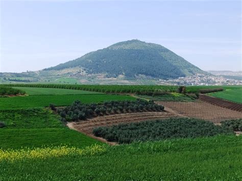 Mount Tabor Alluring World