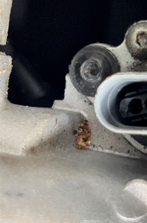 Stripped Bolt On Temperature Sensor Mk6 Gti R Golfgti