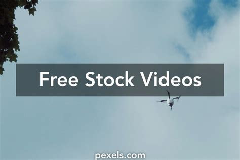 Lnx图像 Videos Download The Best Free 4k Stock Video Footage And Lnx图像 Hd